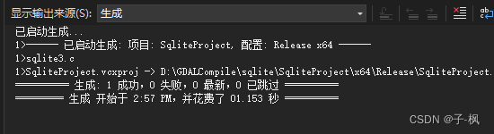 Win11下基于VS2022编译SQLite3源码_sqlite下载 win11-CSDN博客