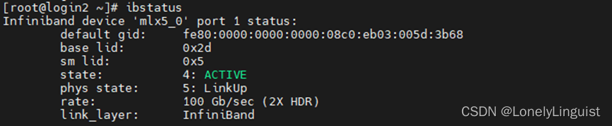 Infiniband/RDMA技术梳理_opensm-CSDN博客