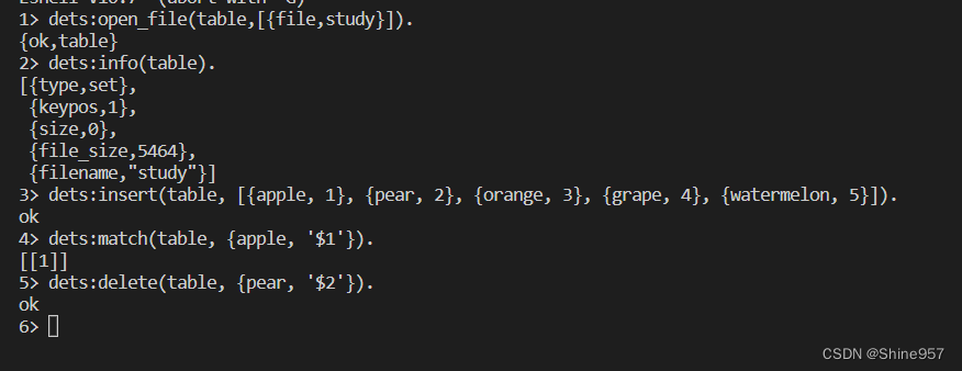 erlang ETS与DETS入门_erlang dets-CSDN博客