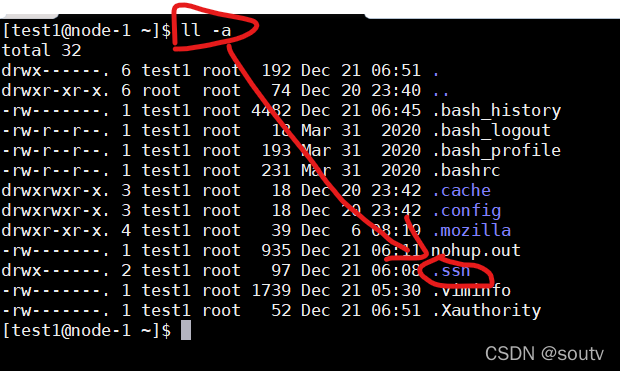 两台linux服务器配置免密登录,并且使用scp后台传输大文件。两台服务器免密码传输scp Csdn博客