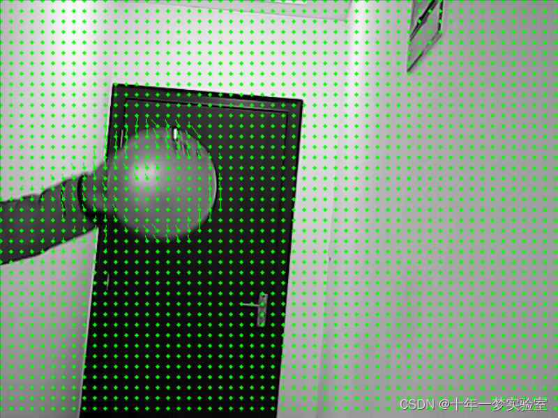 【opencv450-samples】calcOpticalFlowFarneback计算光流-移动像素的移动方向_opencv calcopticalflowfarneback-CSDN博客