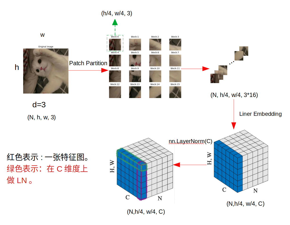 【神经网络架构】Swin Transformer细节详解-1_window partition-CSDN博客