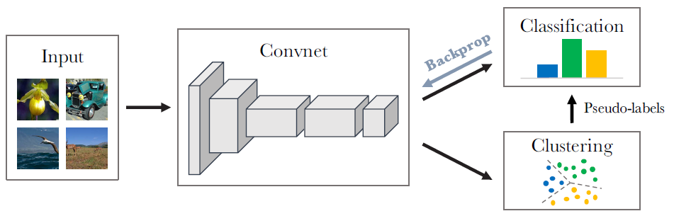 DeepCluster：用于表示视觉特征的无监督学习聚类算法-CSDN博客