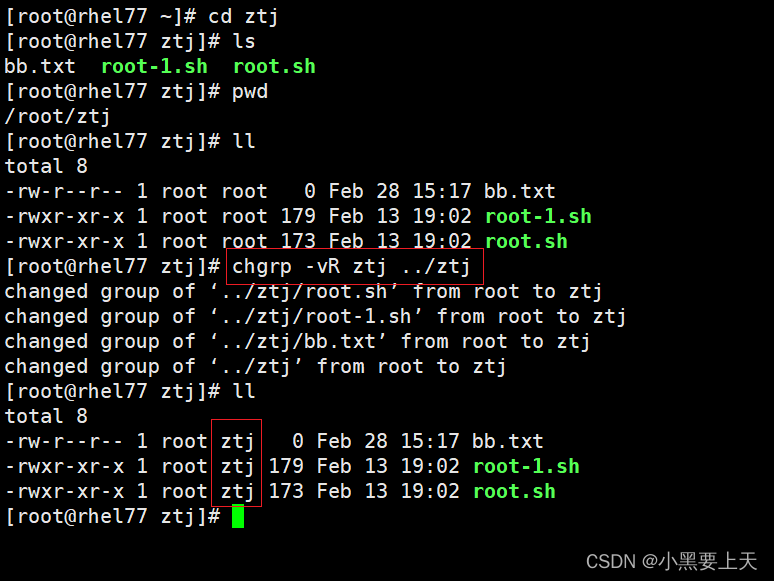 Linux命令(16)之chgrp_linux chgrp-CSDN博客