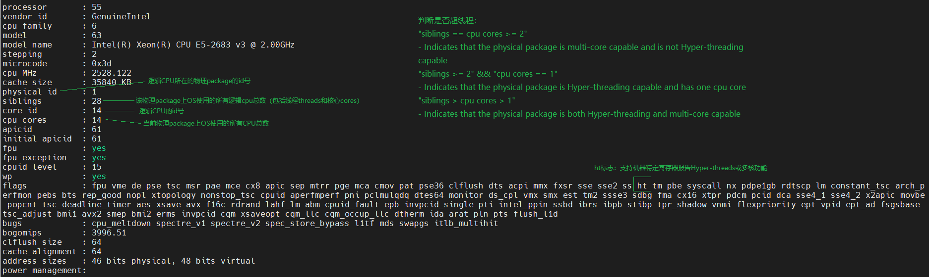 分析绘制CPU-topology拓扑图_cpu topology-CSDN博客