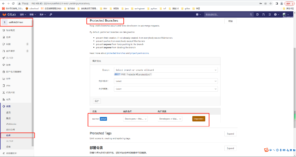 gitlab中，developer无法推送到master分支的设定方法_gitlab禁止提交到master-CSDN博客