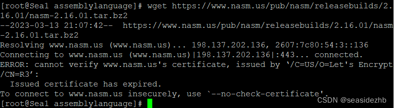 CentOS 7源码安装nasm汇编器，从源码安装gcc 12.2.0，使用汇编语言输出“Hello”_nasm下载-CSDN博客