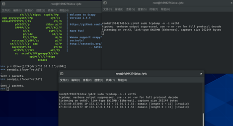 【P4lang】P4环境配置及编译-CSDN博客