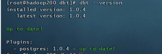 大数据——DBT：数据治理、血缘关系DBT的安装及测试（基础使用篇）_dbt安装使用-CSDN博客
