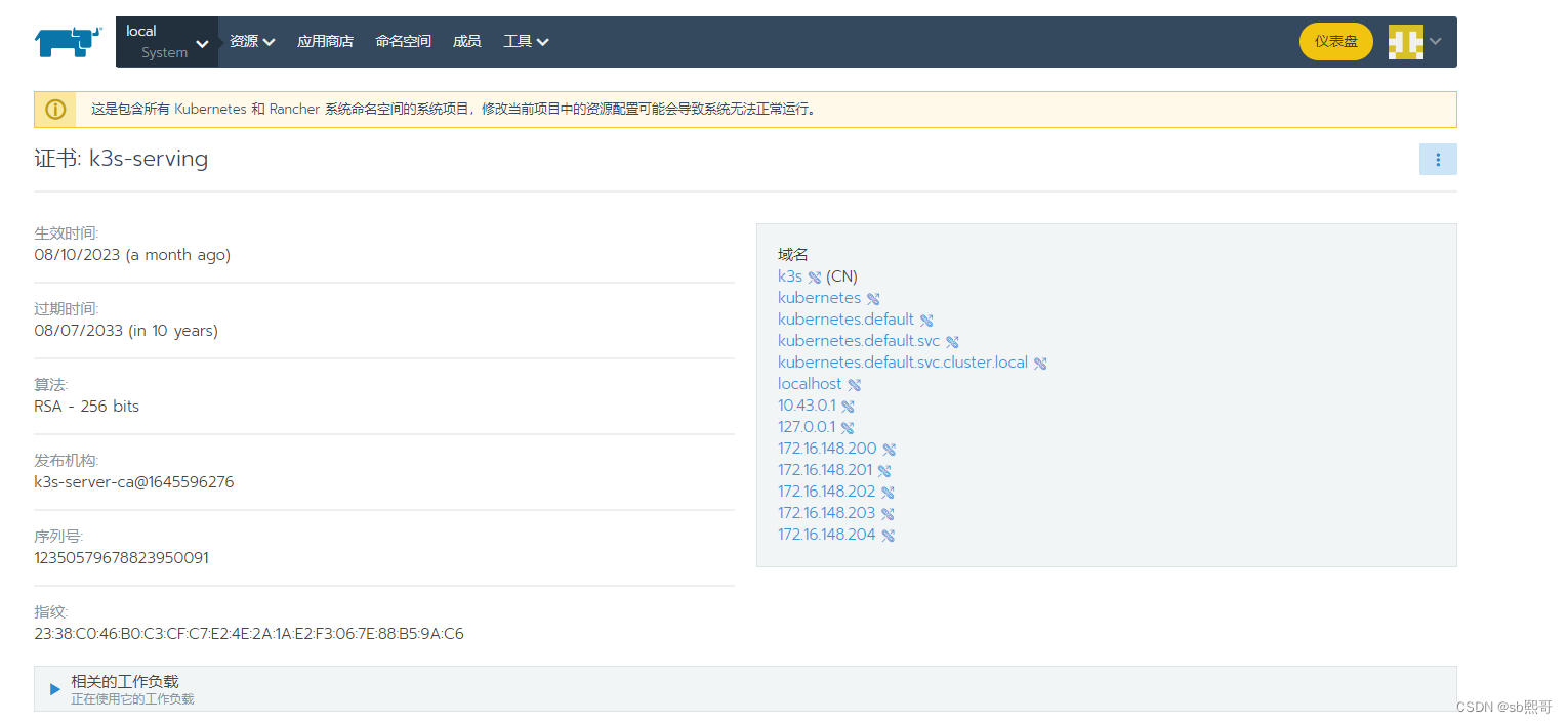 k3s证书过期的处理 以及 修改k3s证书有效期为10年（或自定义时间）-CSDN博客