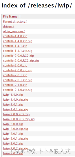 lwIP官网介绍-CSDN博客