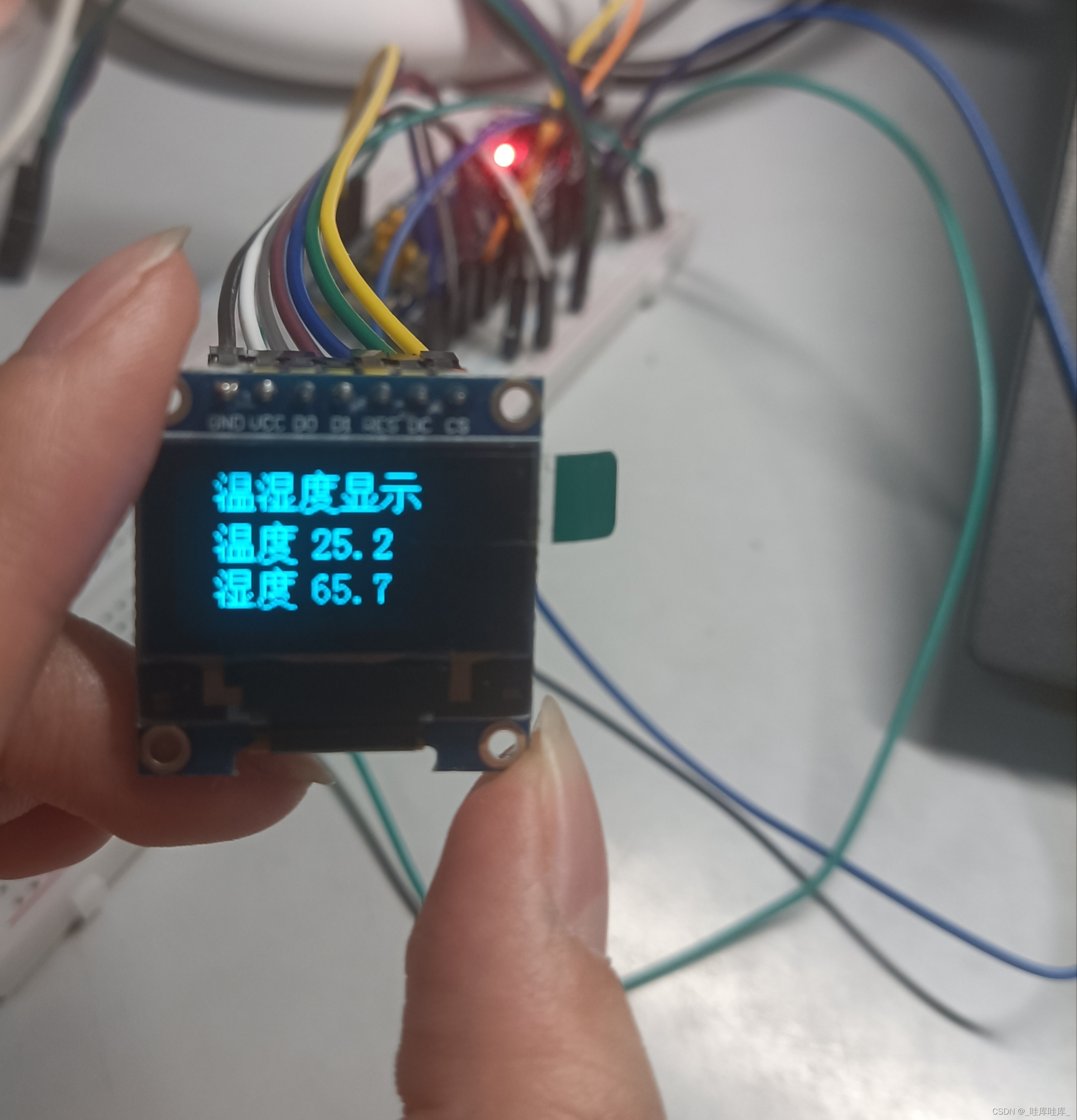 基于STM32的OLED应用实例_10针oled的引脚-CSDN博客