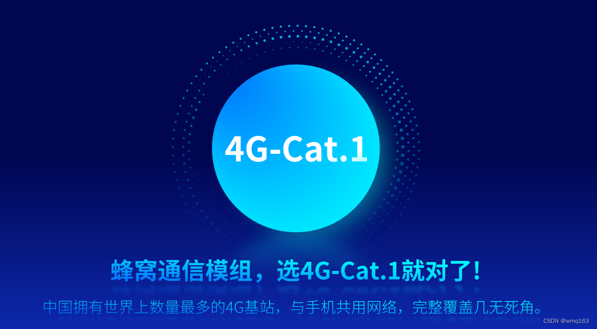 物联网蜂窝通信模组制式为什么选择4G-Cat.1_蜂窝物联网模组,都只能支持单一运营商-CSDN博客