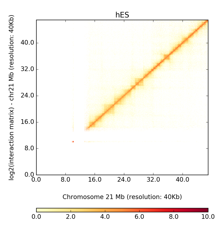 HiCPlotter|HiC数据可视化工具-CSDN博客