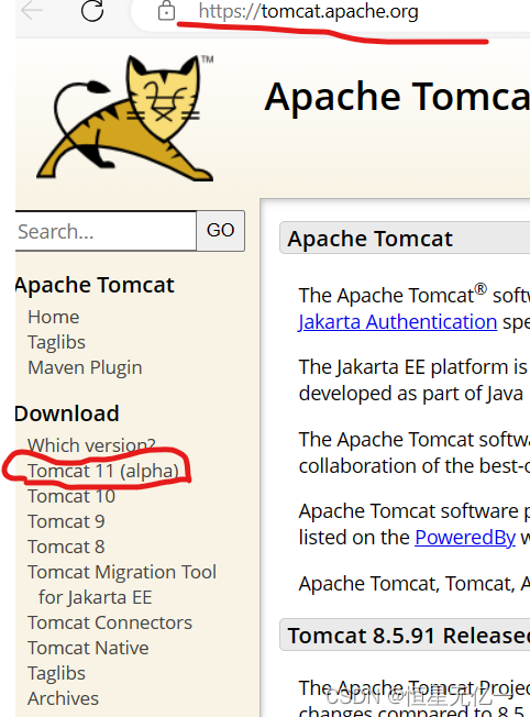 JDK17+tomcat11安装配置教程（压缩包方式）_tomcat11.0安装教程-CSDN博客
