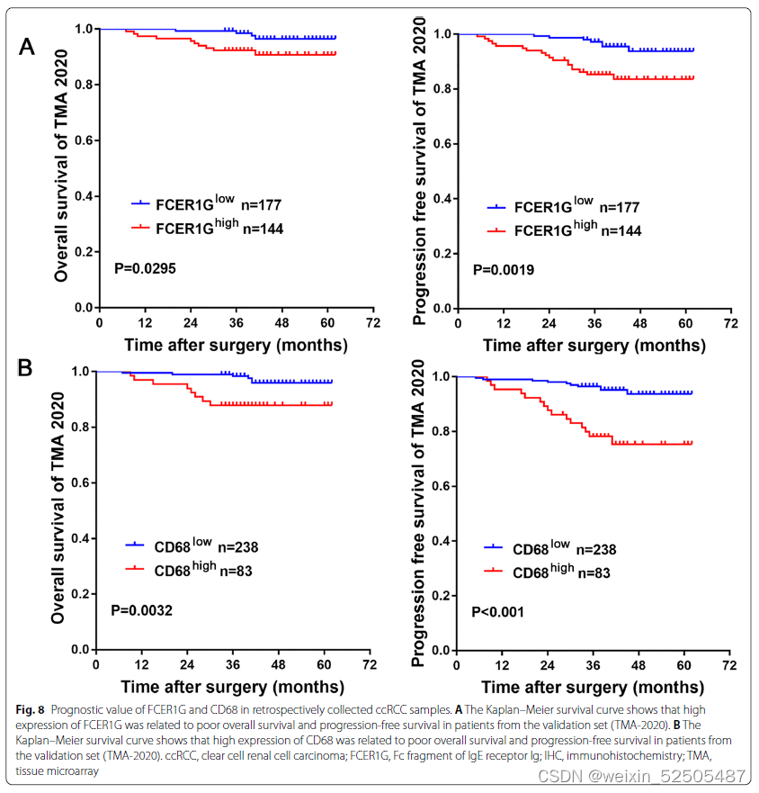 文献阅读-FCER1G与透明细胞癌中巨噬细胞的浸润相关并且通过调节肿瘤免疫产生不良预后-CSDN博客
