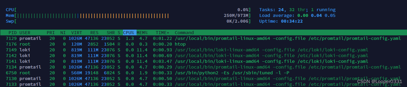 loki+promtail+rsyslog+gafana日志收集_promtail采集交换机日志-CSDN博客