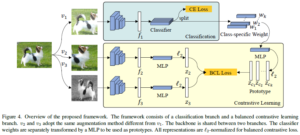 [CVPR 2022] Balanced Contrastive Learning for Long-Tailed Visual Recognition-CSDN博客