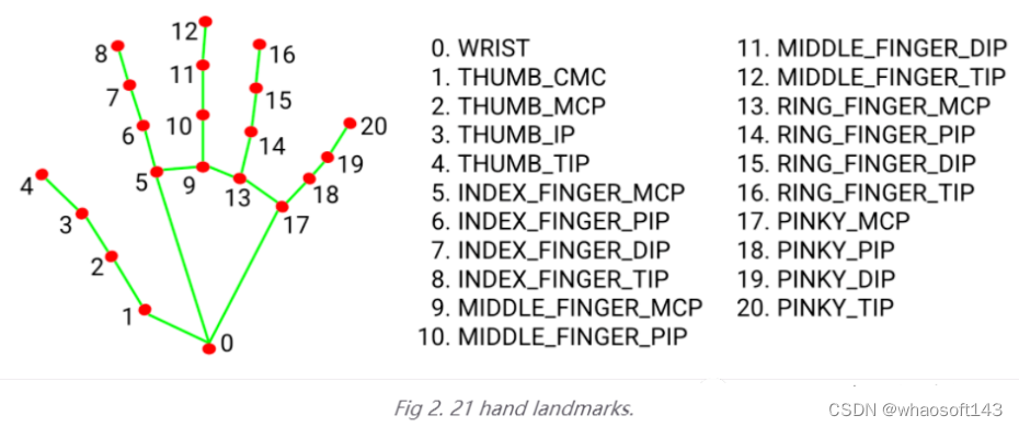 MediaPipe手势识别_google mediapipe 手势识别-CSDN博客
