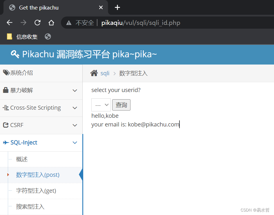 生命在于折腾——皮卡丘靶场源码审计（一）_pikachu靶场源码在哪里查看-CSDN博客