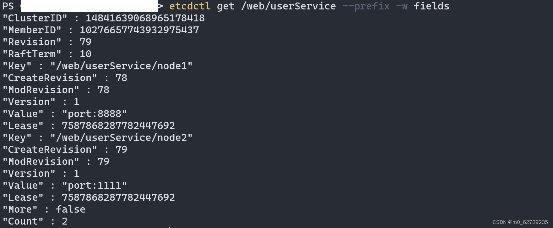 Go语言etcd实现服务注册发现_golang etcd 实现服务注册中心-CSDN博客