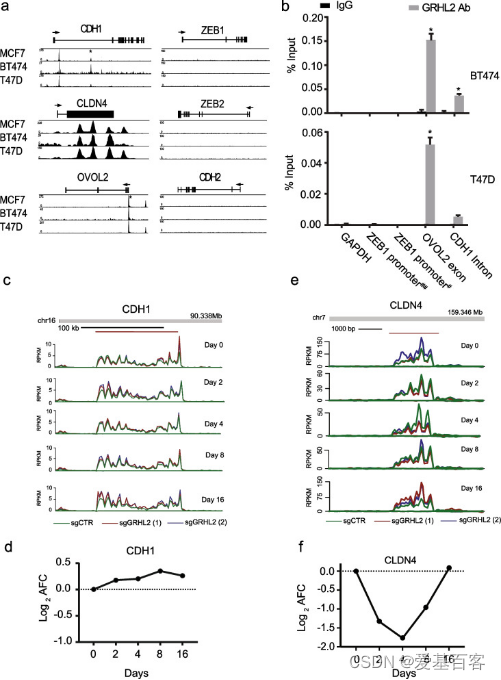 Cell Commun Signal｜ChIP-seq和Bru-seq揭示转录因子GRHL2在管腔型乳腺癌中的调控网络_转录因子落在编码区怎么办-CSDN博客