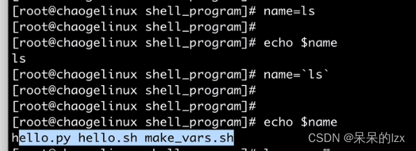 shell变量--父子变量_在子shell中执行脚本,脚本中定义的全局变量在父shell中仍然有效对吗-CSDN博客