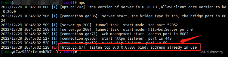 【精】如何搭建NPS进行内网穿透_nps内网穿透-CSDN博客