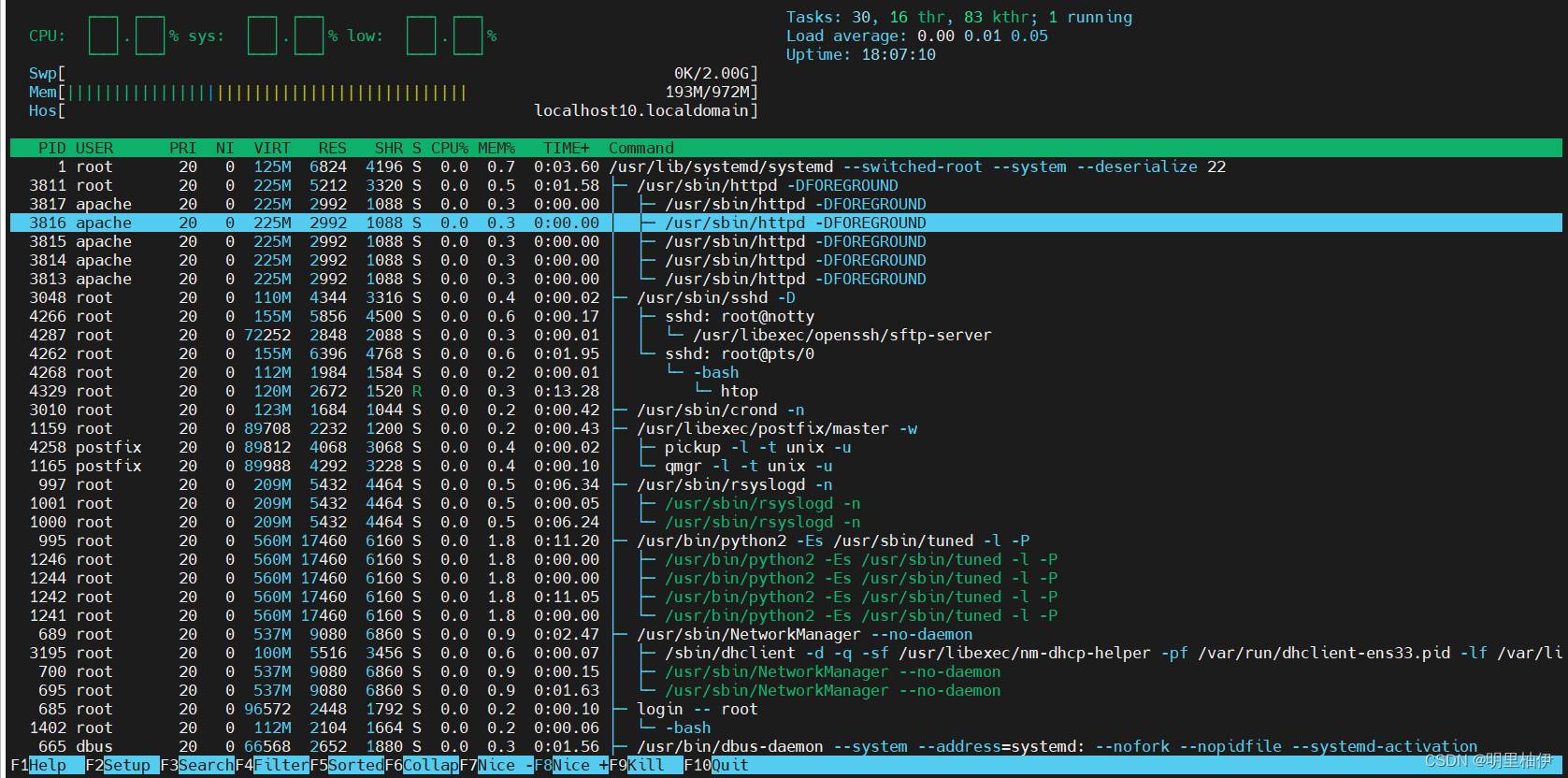 【Linux】htop命令的使用详解_htop命令详解-CSDN博客