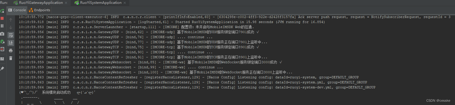 若依集成IM（推送系统）MobileIMSDK 实现服务器端代码_若依嵌套im项目-CSDN博客
