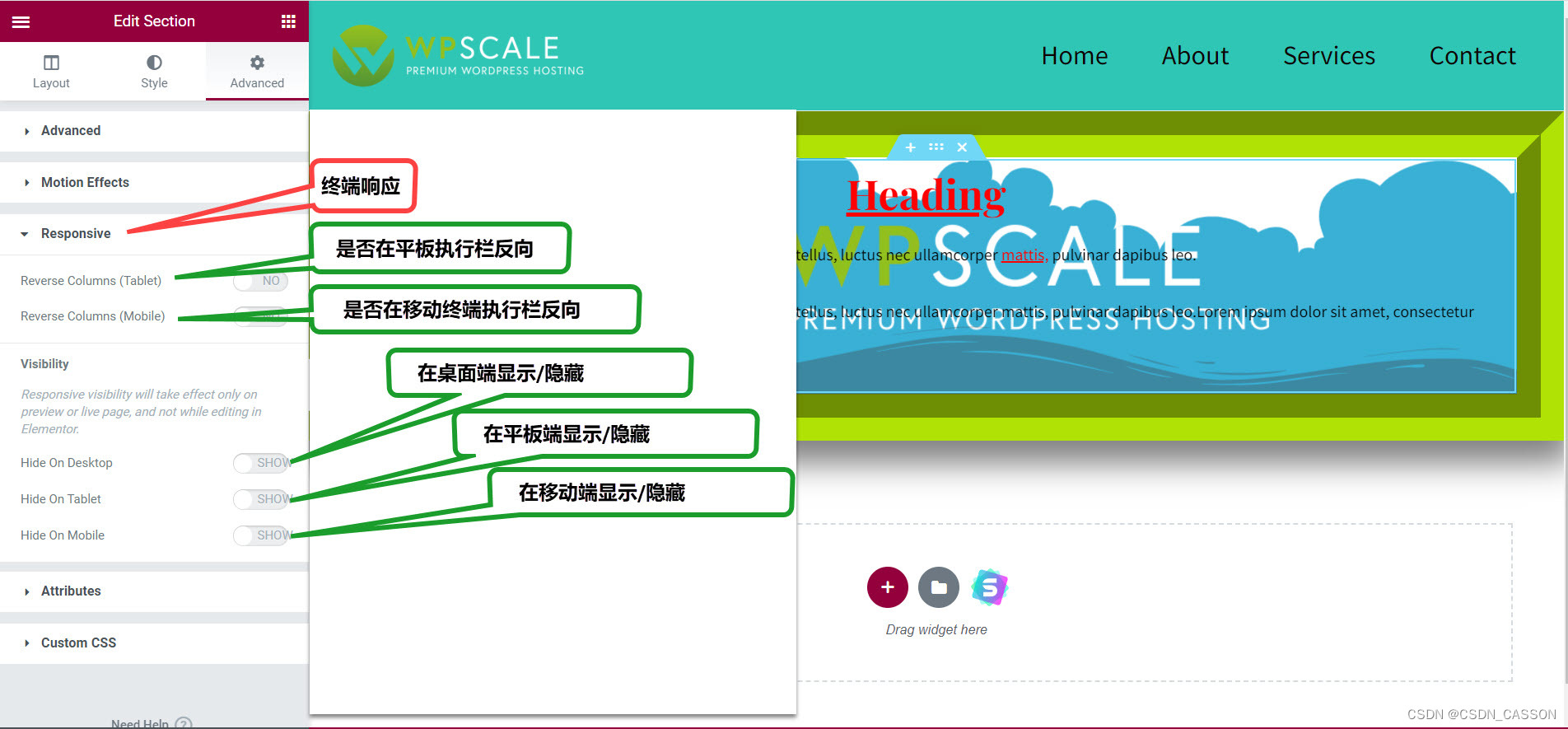 WordPress页面编辑器插件--Elementor_wordpress elementor_CSDN_CASSON的博客-CSDN博客