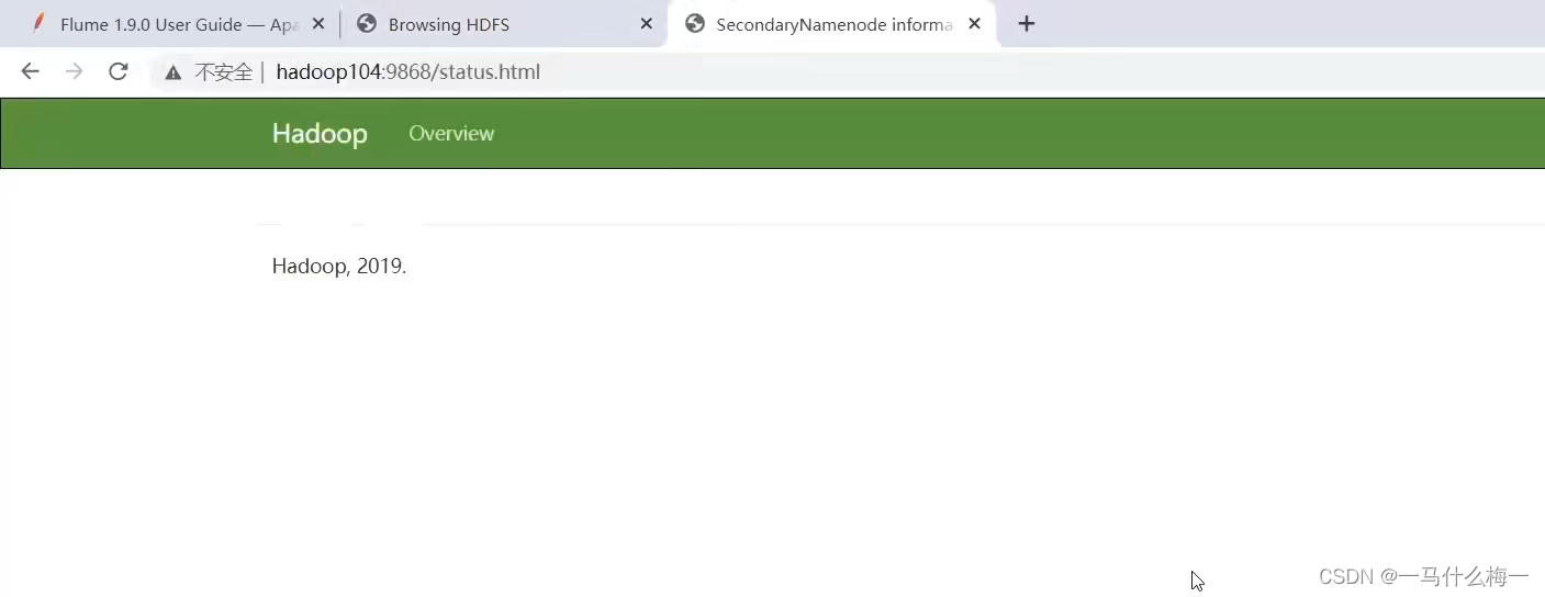 NameNode页面不能显示完整信息解决_hadoop namenode hdfs web界面不全-CSDN博客