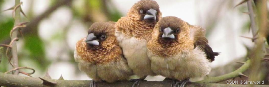 【SSA】麻雀搜索优化算法(Sparrow Search Algorithm,SSA)理论分析与matlab性能仿真-CSDN博客