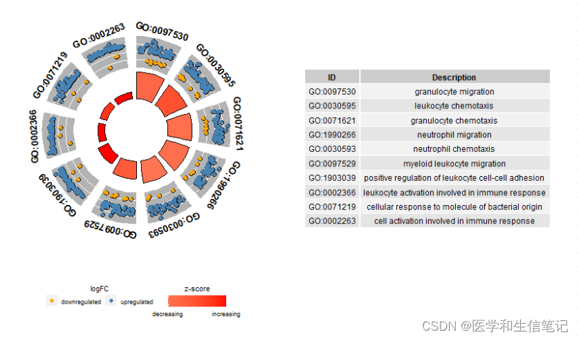 GOplot富集分析可视化_go cluster plots如何解读-CSDN博客