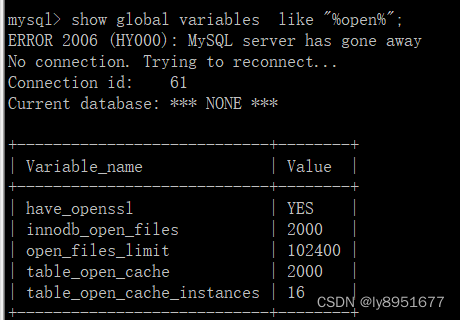 Mysql设置open_files_limit_openfileslimit设置-CSDN博客