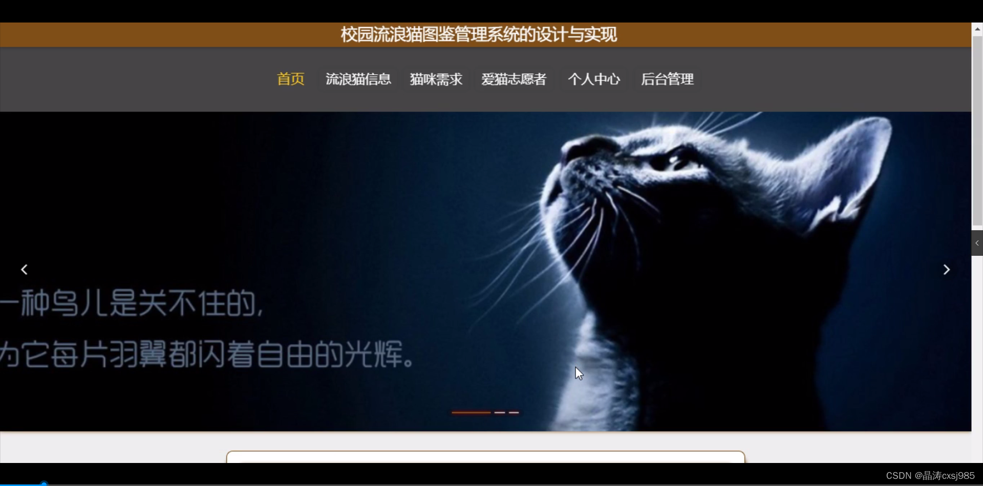 Java毕设项目校园流浪猫图鉴管理系统的设计与实现计算机（附源码系统数据库lw）校园流浪猫数据 Csdn博客