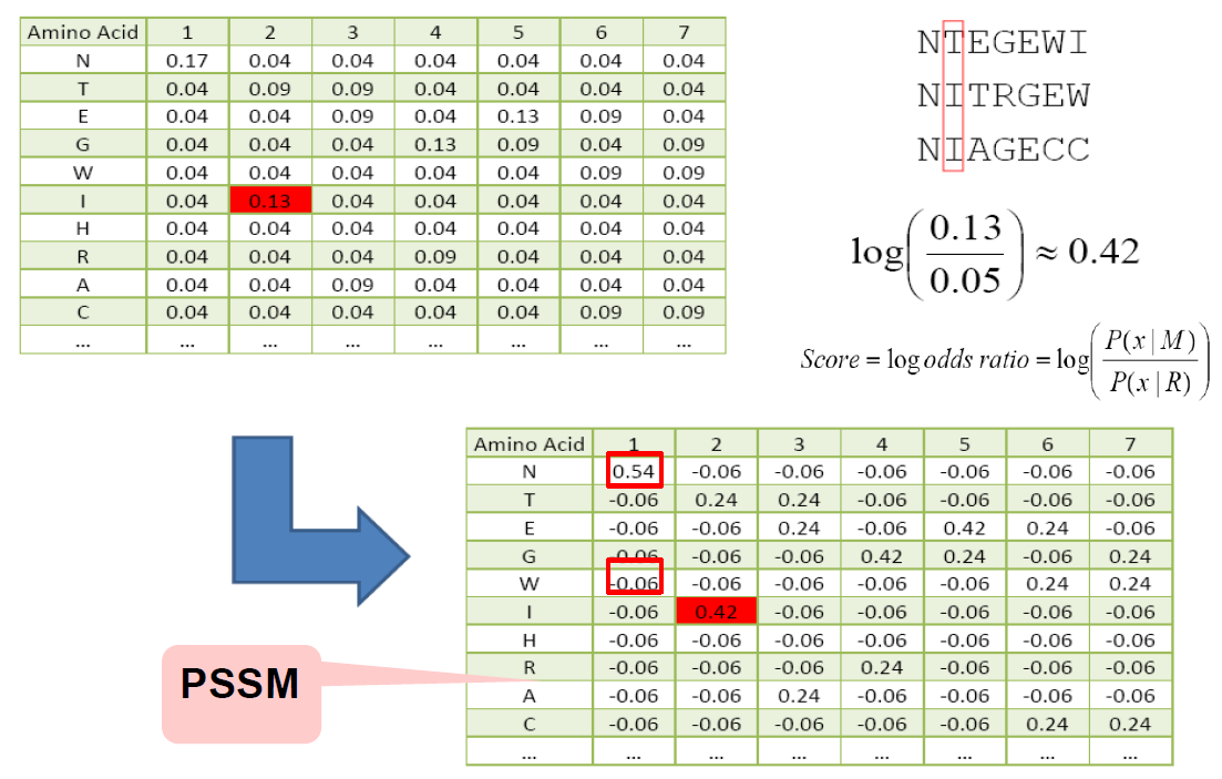 BLAST原理和用法总结（一）_blast算法-CSDN博客