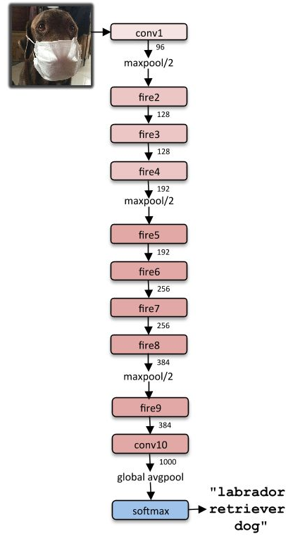 【pytorch】对图实现SqueezeNet中的fire模块，低带宽场景中的轻量级网络_squeezenet fire-CSDN博客