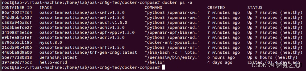 OAI容器化部署核心网和虚拟机站UERANSIM-CSDN博客
