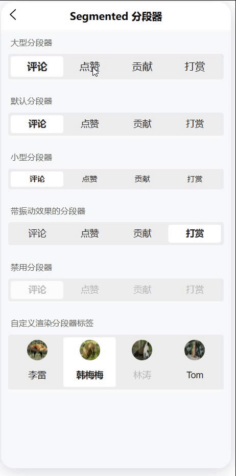 Wot Design Uni 上新 Segmented 分段器 ，赶快进来看看效果吧！ Csdn博客 