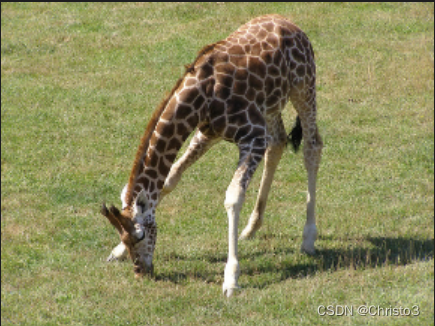 一种无监督语义分割算法：Unsupervised Semantic Segmentation using Invariance and Equivariance in Clustering ...