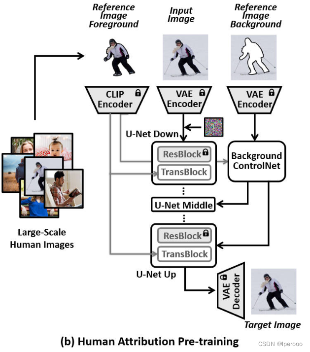 Video Generation论文阅读笔记DisCo: Disentangled Control for Referring Human ...