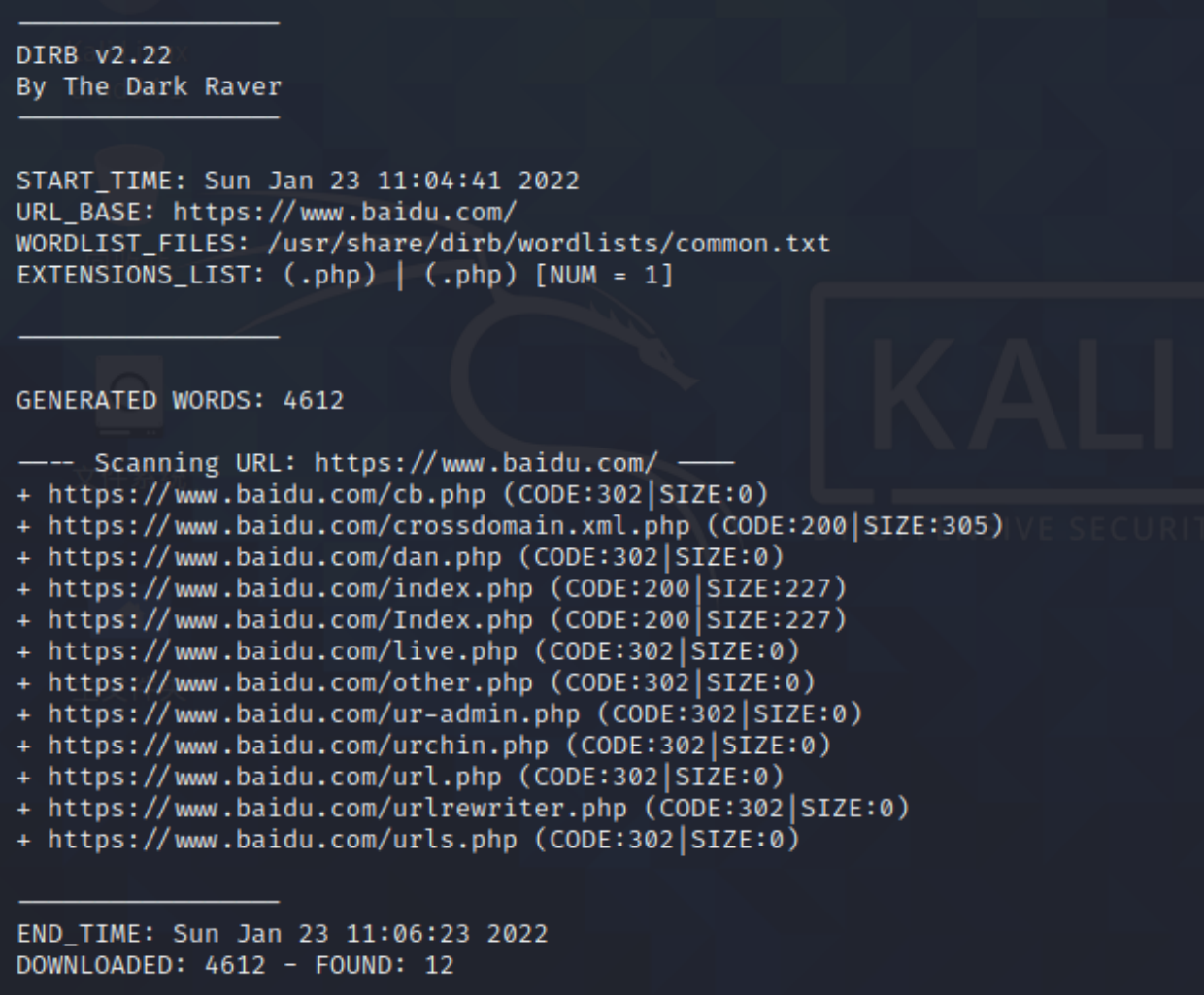 渗透测试-dirb使用教程-web目录爆破_dirb命令_保持微笑-泽的博客-CSDN博客