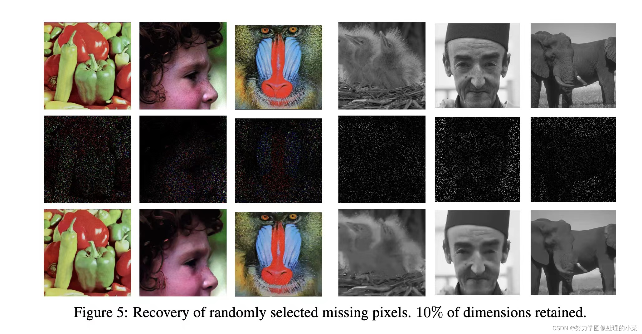 Solving Linear Inverse Problems Using The Prior Implicit in a Denoiser (Paper reading)-CSDN博客