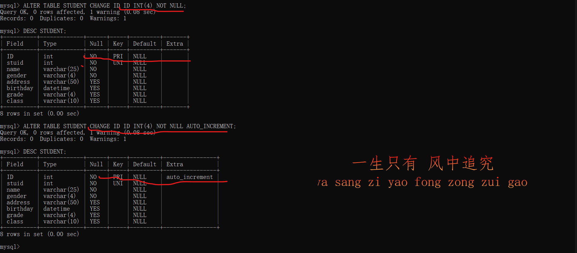 MySQL 002： 表操作实例_将student表中所有学生的地区字段的内容在原来的数据后加上省或市3个字,使用mysql-CSDN博客