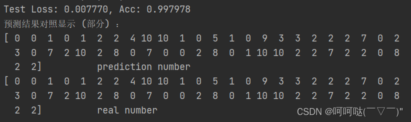 基于pytorch或keras框架构建CNN实现银行卡号的识别与预测_cnn pytorch预测-CSDN博客
