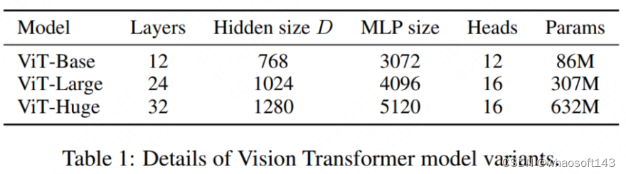 VIT~~6_vit模型的输入可以是文本吗-CSDN博客