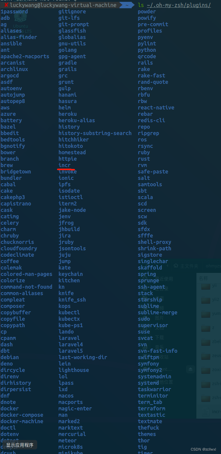 Ubuntu美化过程中zsh和oh-my-zsh的安装与配置（步骤和小白注意项）_zsh美化-CSDN博客