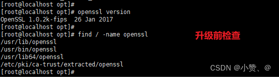 记录euler os 2.0 sp5 系统升级openssl_欧拉 openssl-CSDN博客
