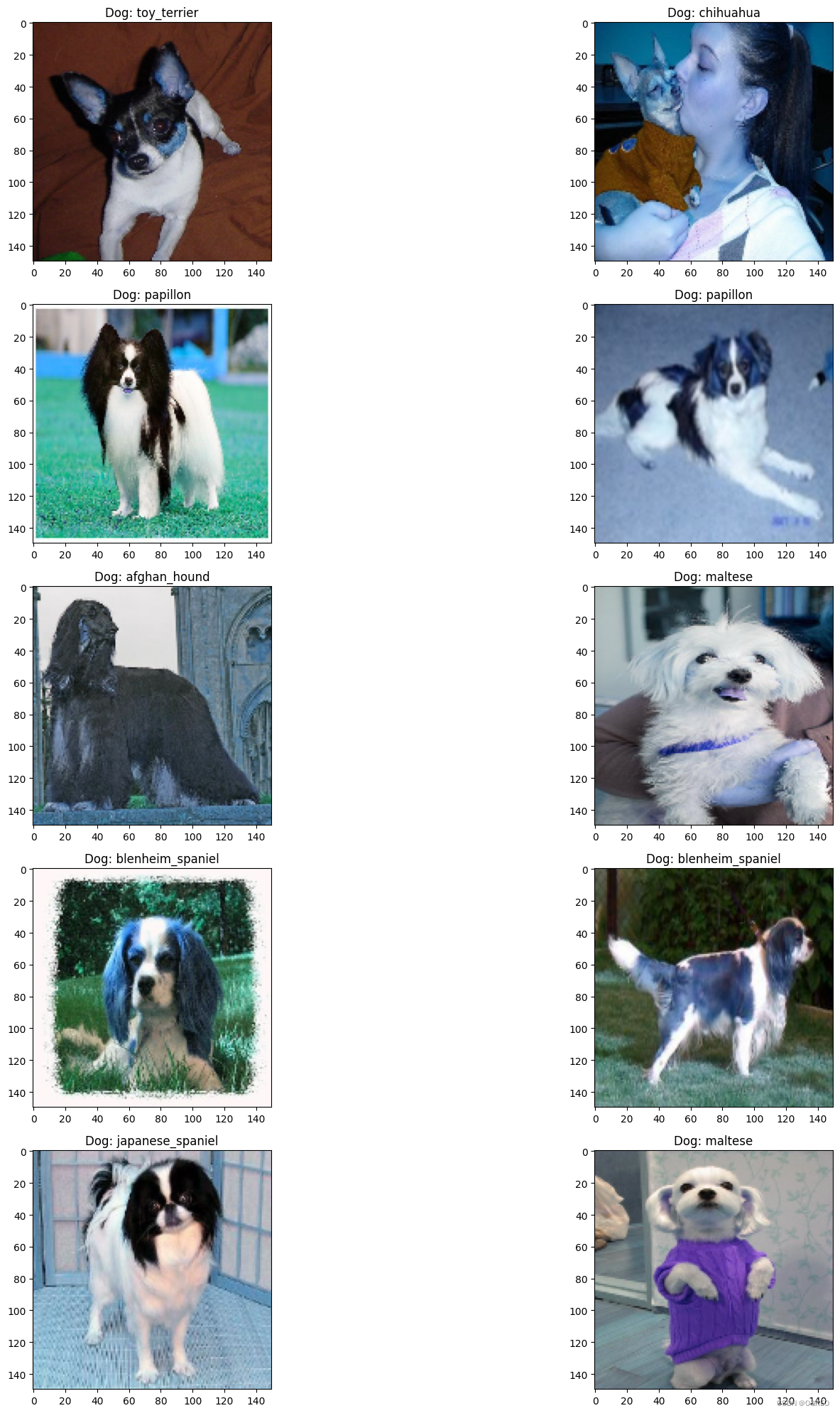 机器学习初学-卷积神经网络识别StanfordDogsDataset狗狗图像_stanford dogs-CSDN博客